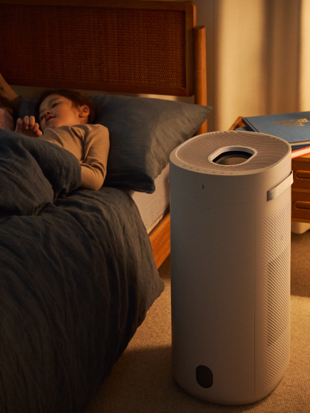 Blue Pure Mini Max Bundle | Air purifier for up to 20 m² | Blueair ...